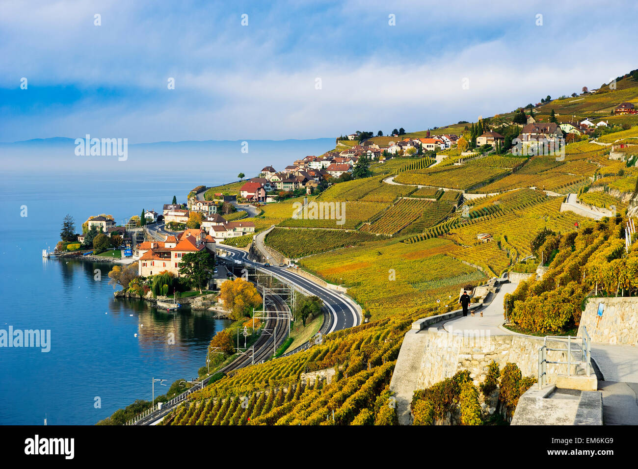 Switzerland, Lavaux Unesco World Heritage region, Vineyards; Rivaz ...