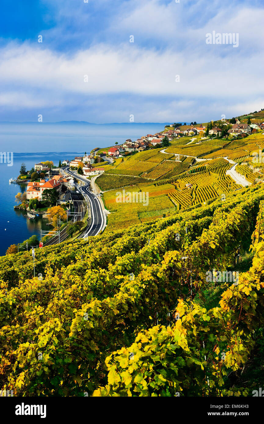 Switzerland, Lavaux Unesco World Heritage region, Vineyards; Rivaz ...
