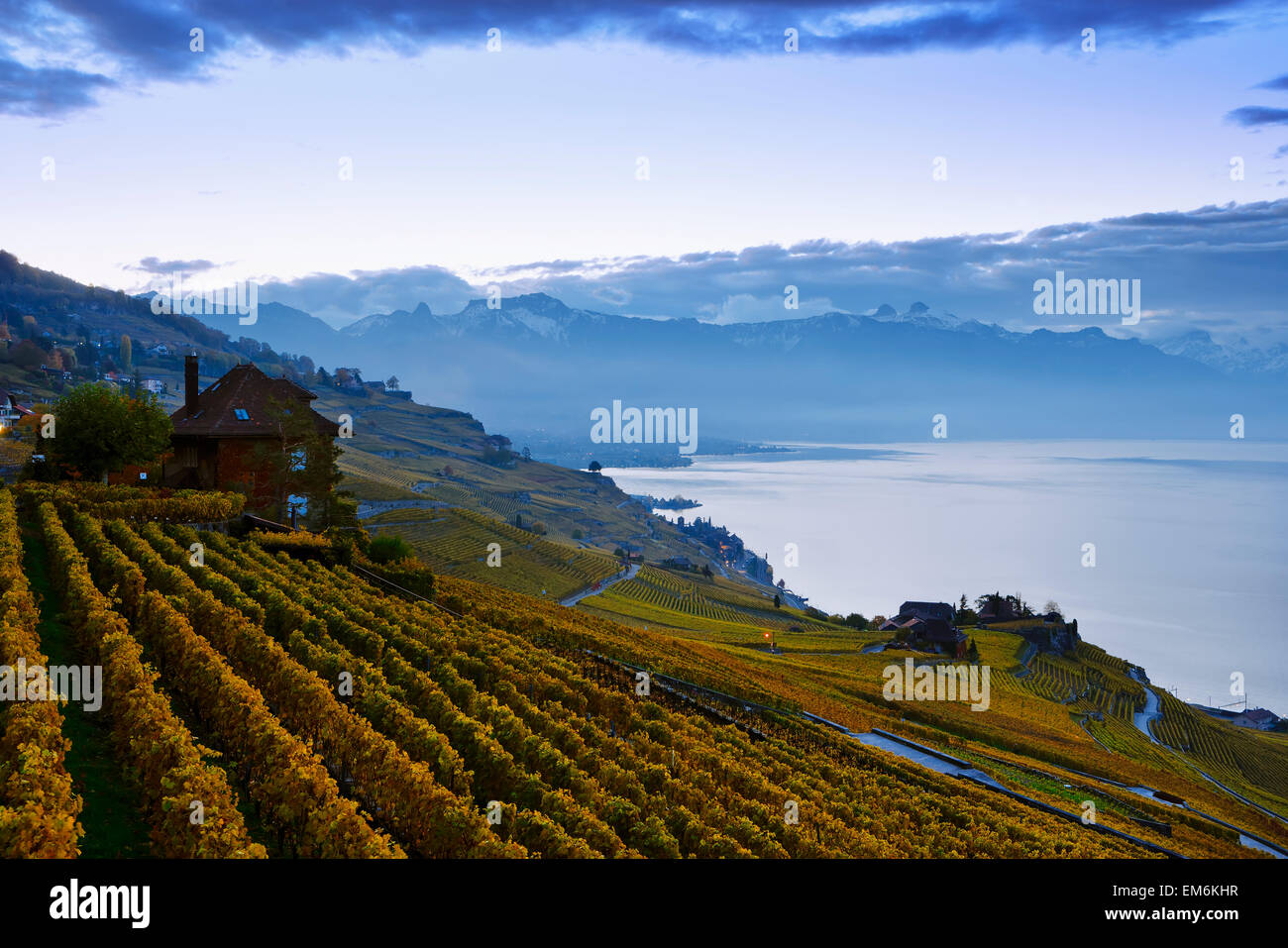 Switzerland, Lavaux Unesco World Heritage region, Vineyards; Rivaz ...