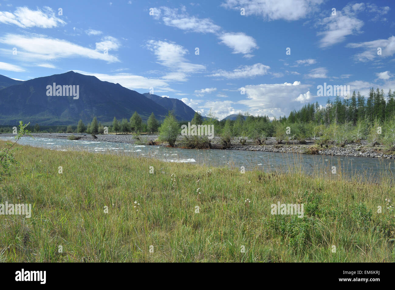 River flowing in a mountain valley. Landscape wildlife. Russia, Yakutia ...
