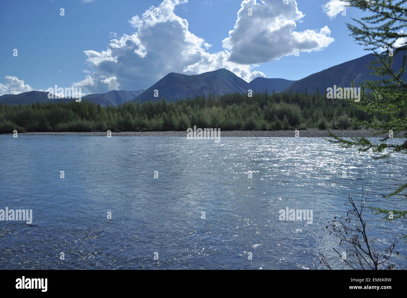 River flowing in a mountain valley. Landscape wildlife. Russia, Yakutia ...
