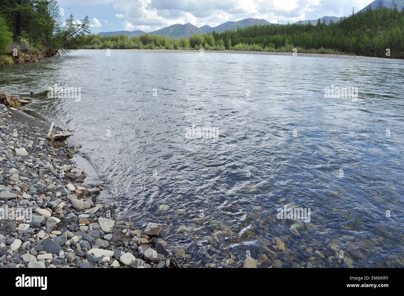 River flowing in a mountain valley. Landscape wildlife. Russia, Yakutia ...