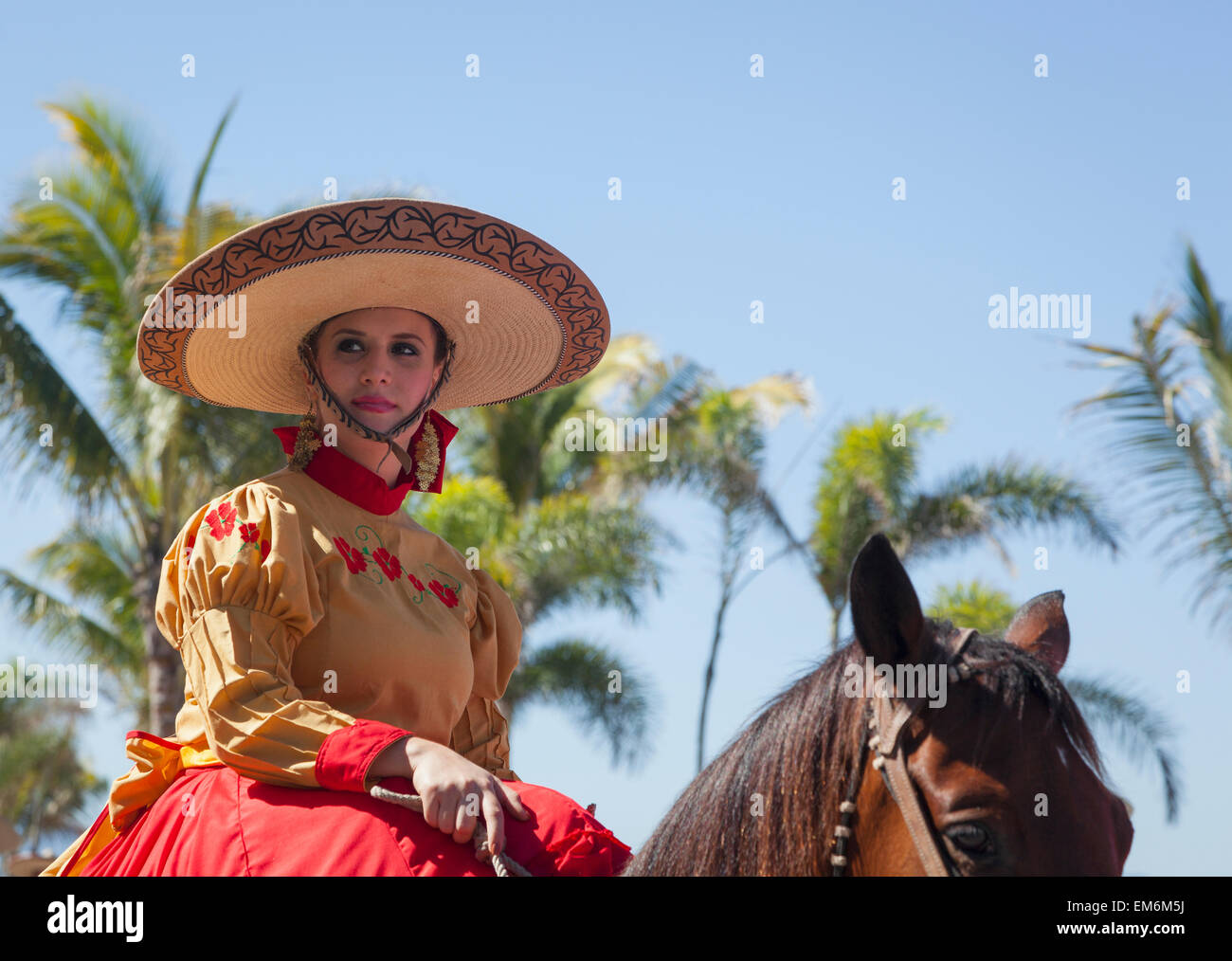 Charreada hi-res stock photography and images - Alamy