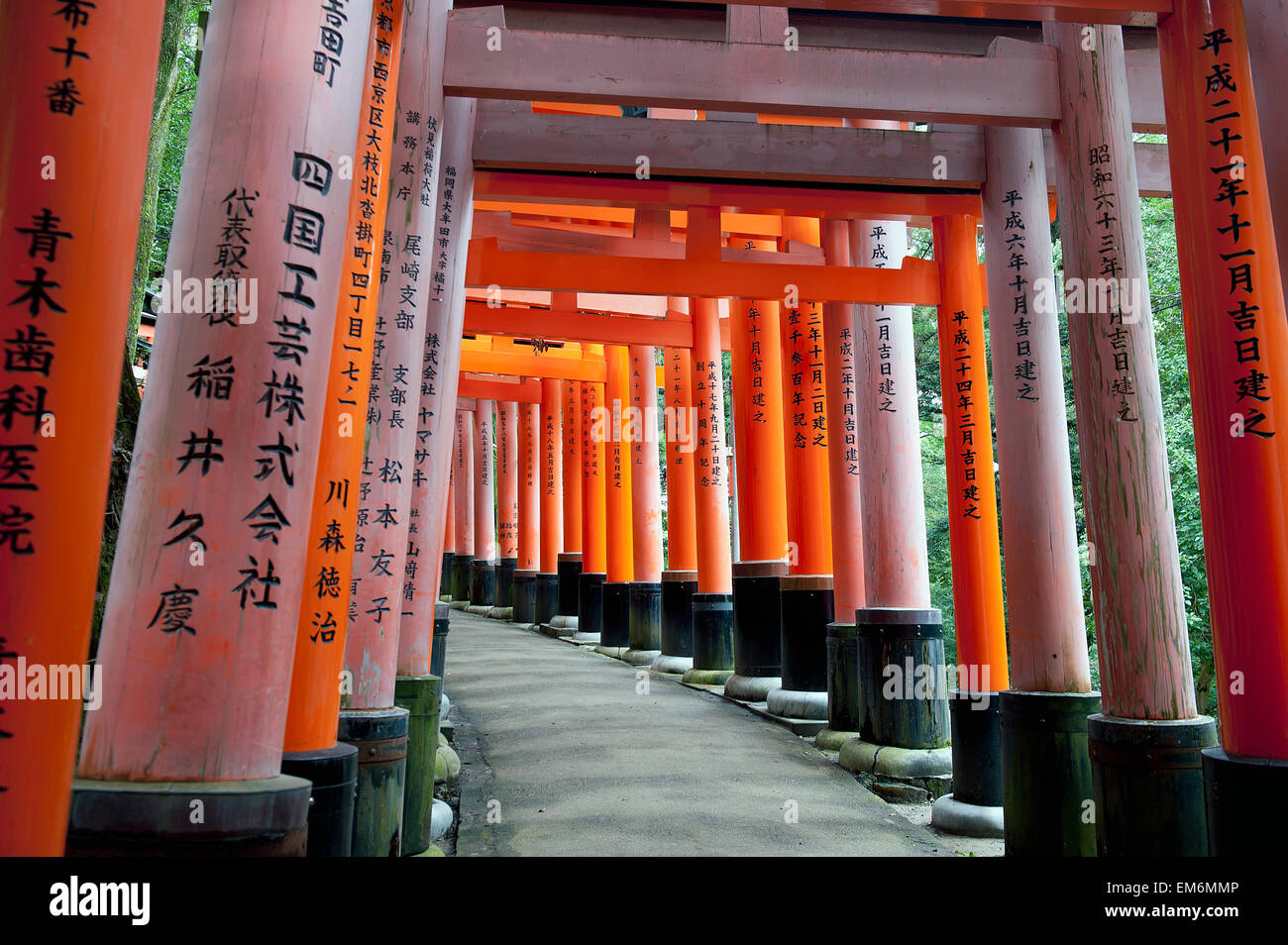Japan, Red Columns Along Pathway; Kyoto Stock Photo - Alamy