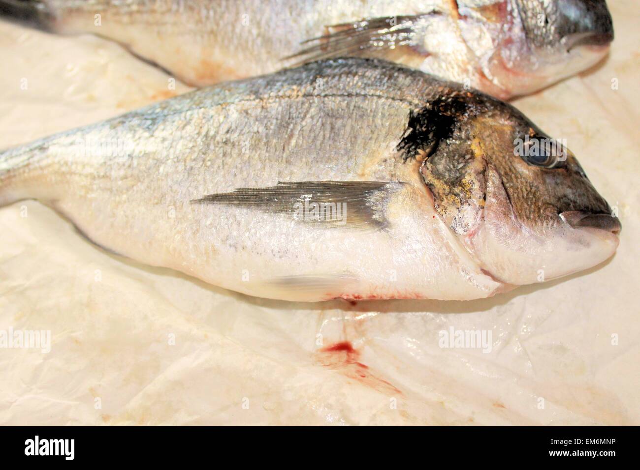 Restaurant sea bream hi-res stock photography and images - Alamy