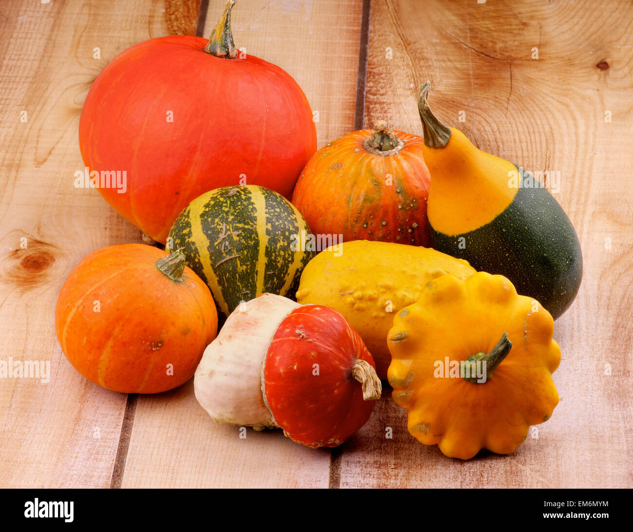 Miniature butternut squash hi-res stock photography and images - Alamy