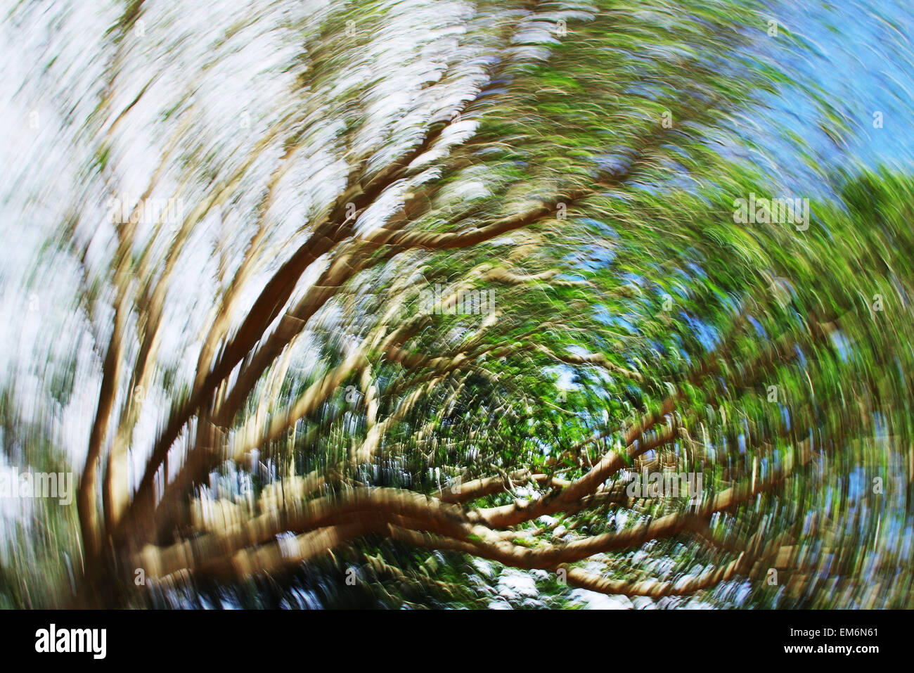 Spin on filter hi-res stock photography and images - Alamy