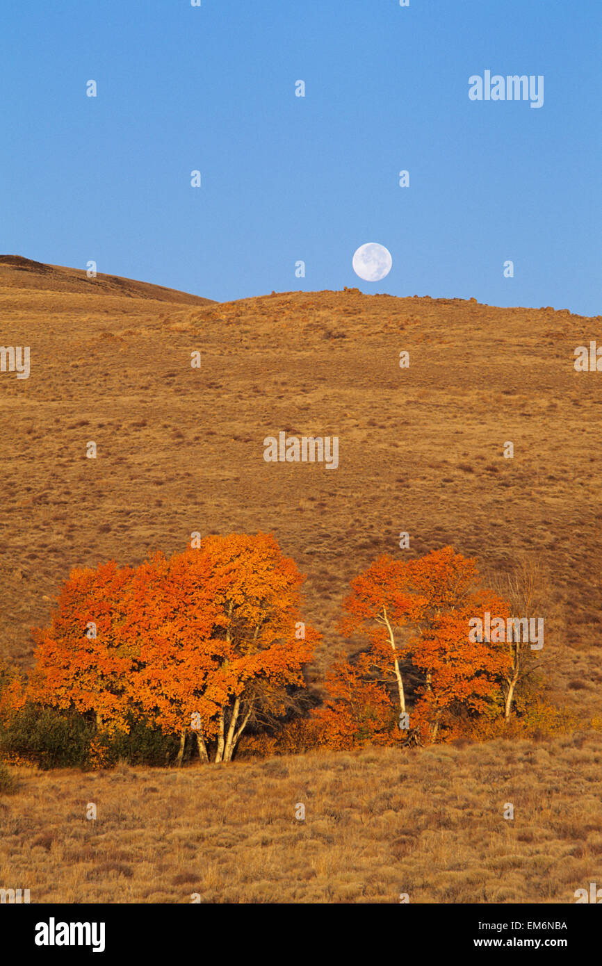 Camp hart mountain hi-res stock photography and images - Alamy