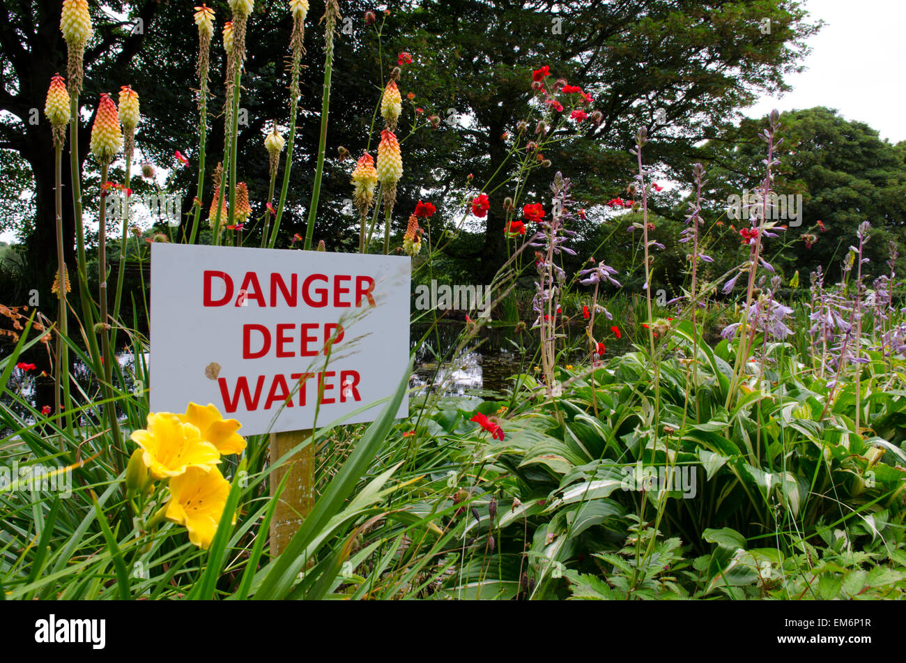 Crook swimming hi-res stock photography and images - Alamy