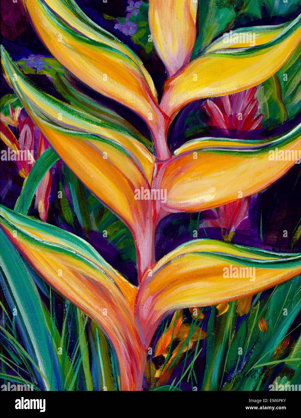 Orange Heliconia, Close-Up Of Single Blossom (Acrylic Painting Stock ...
