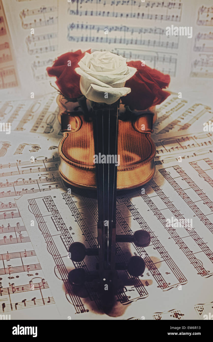 old violin with musical notes and rose closeup Stock Photo - Alamy