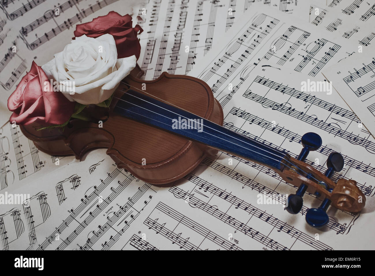 Old Violin Musical Notes Rose High Resolution Stock Photography and ...