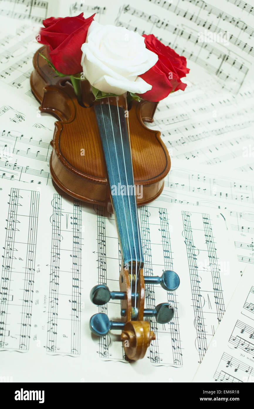 old violin with musical notes and rose closeup Stock Photo - Alamy