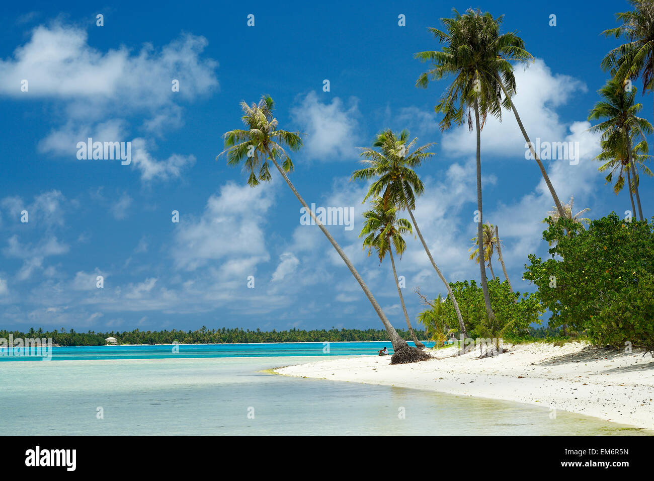 French Polynesia, Tahiti, Lagoon Beach With Palms Trees and Blue Sky ...