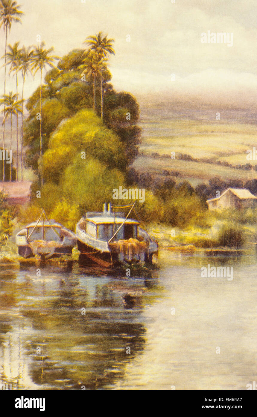 C.1922 Hawaii, Big Island, Waiakea, Hilo, Coastal Landscape Stock Photo ...