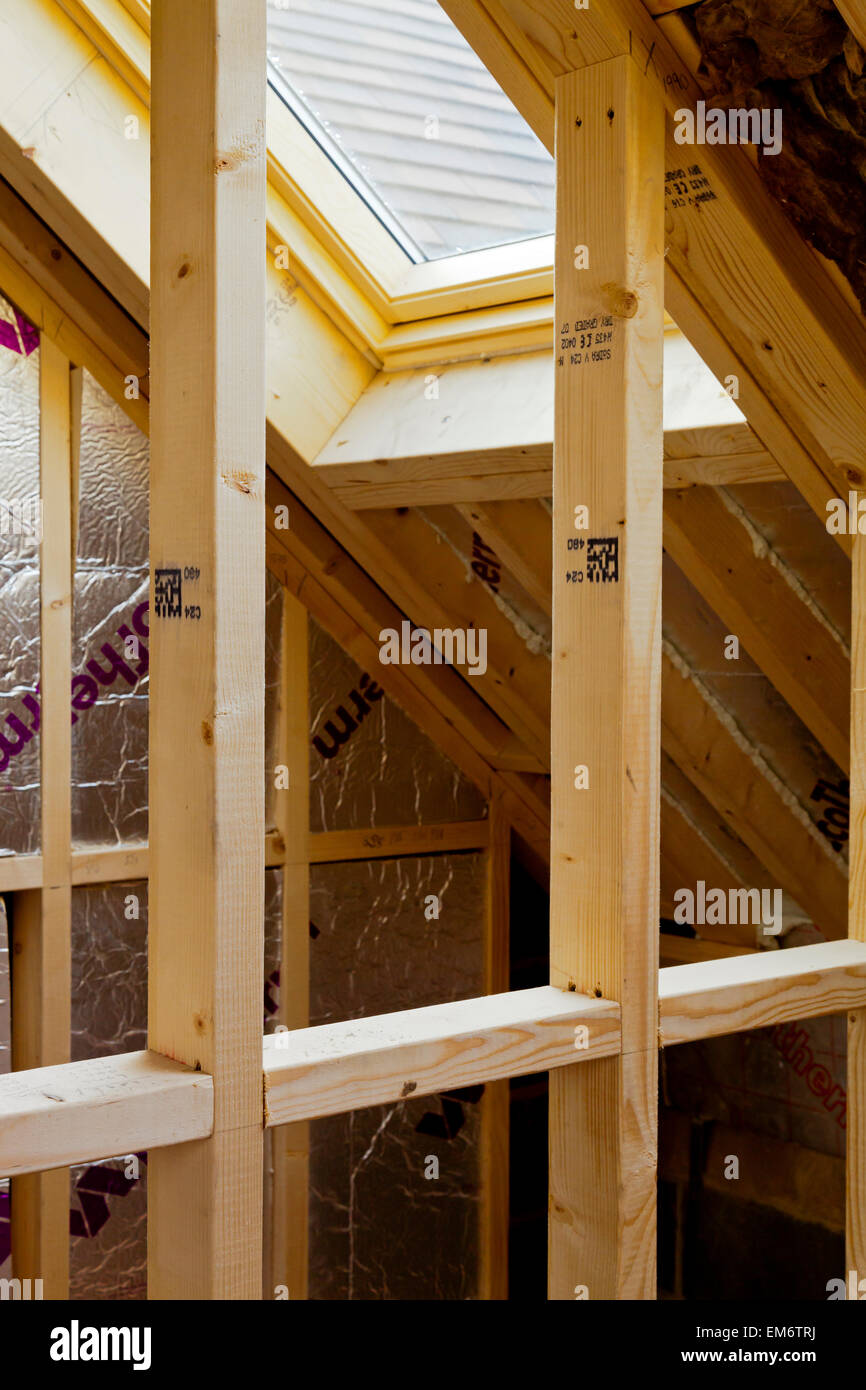 Interior of new building under construction showing timber roof joists ...