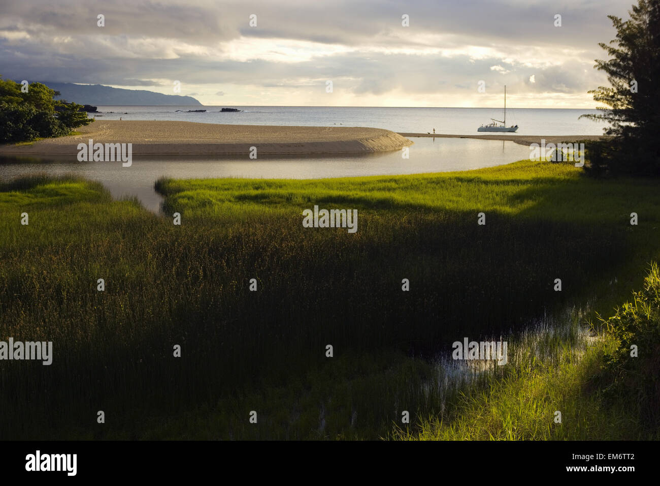Hawaii, Oahu, North Shore, Waimea Bay, Vegetation And River Coming Down ...