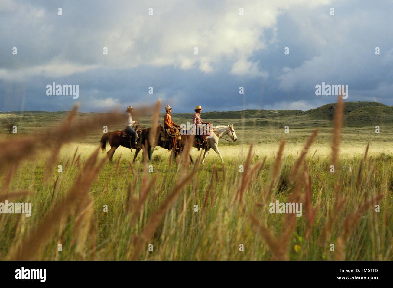 Three cowboys on horseback hi-res stock photography and images - Alamy