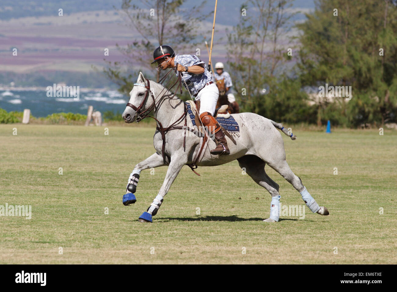 Man riding horse design hi-res stock photography and images - Alamy