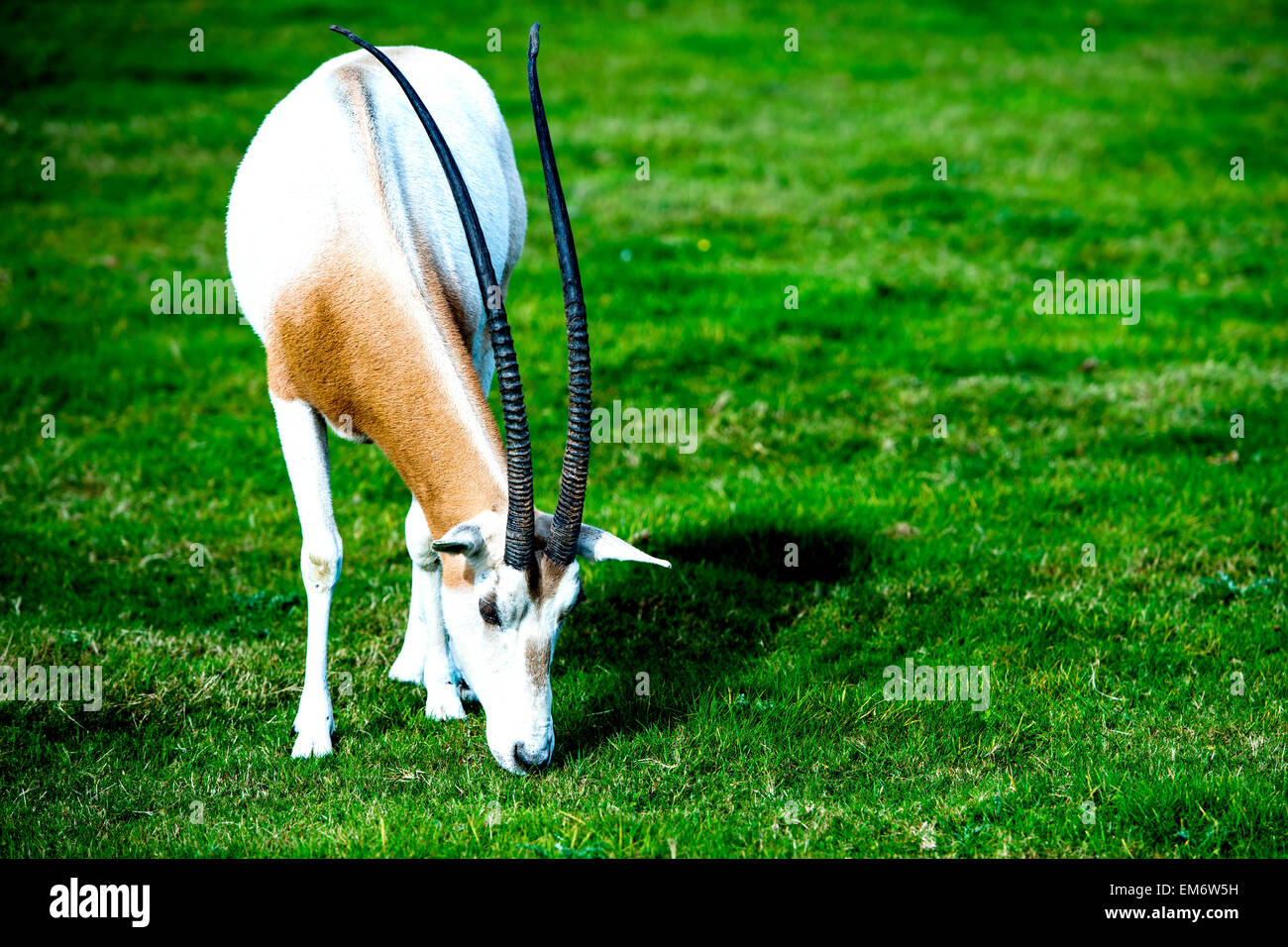 Spiral markings hi-res stock photography and images - Alamy