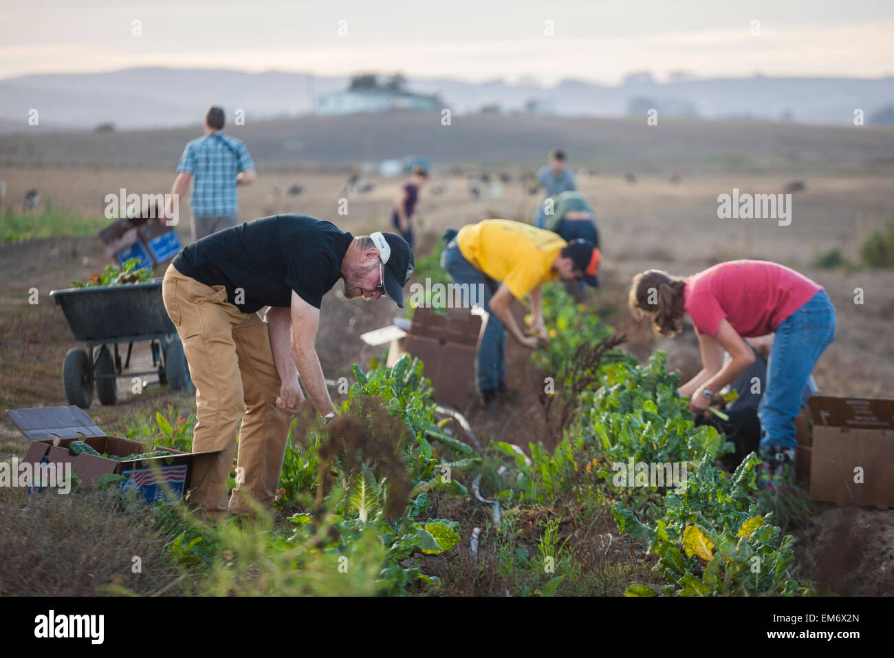 Charity work and agriculture hi-res stock photography and images - Alamy