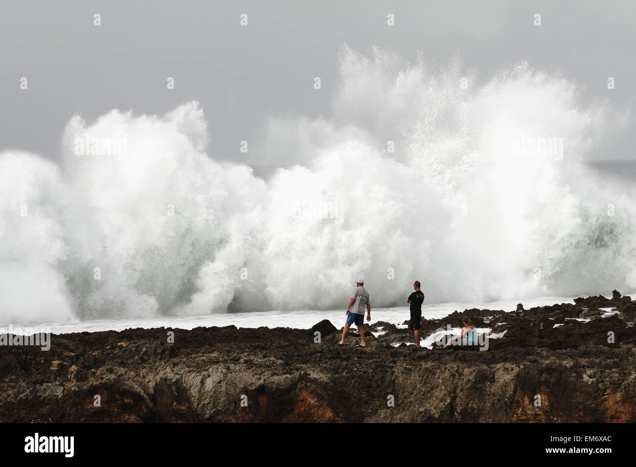 Hawaii ocean coastline cove watching hi-res stock photography and ...