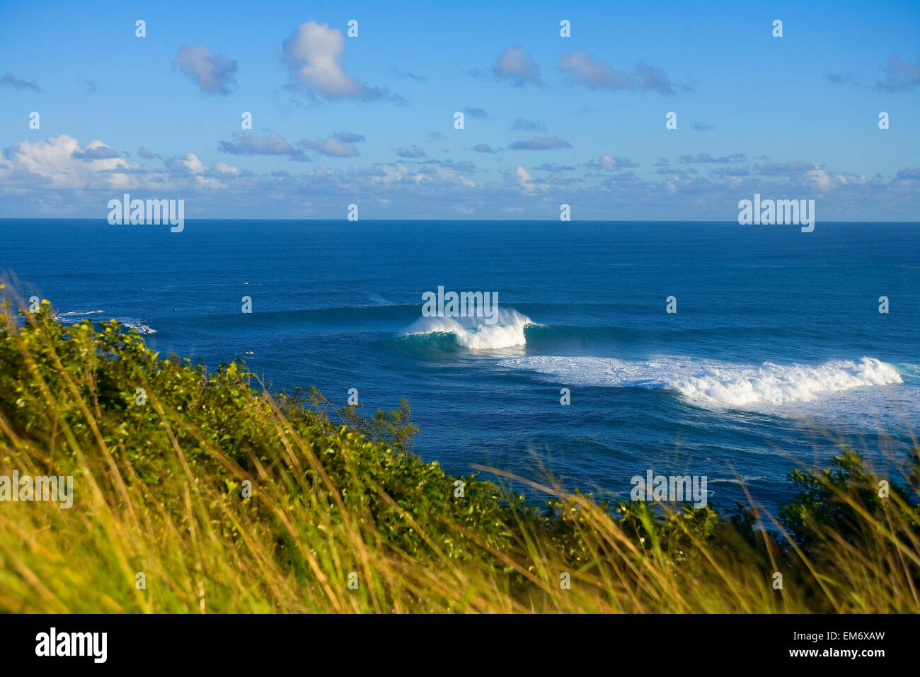 Small jaws hi-res stock photography and images - Alamy