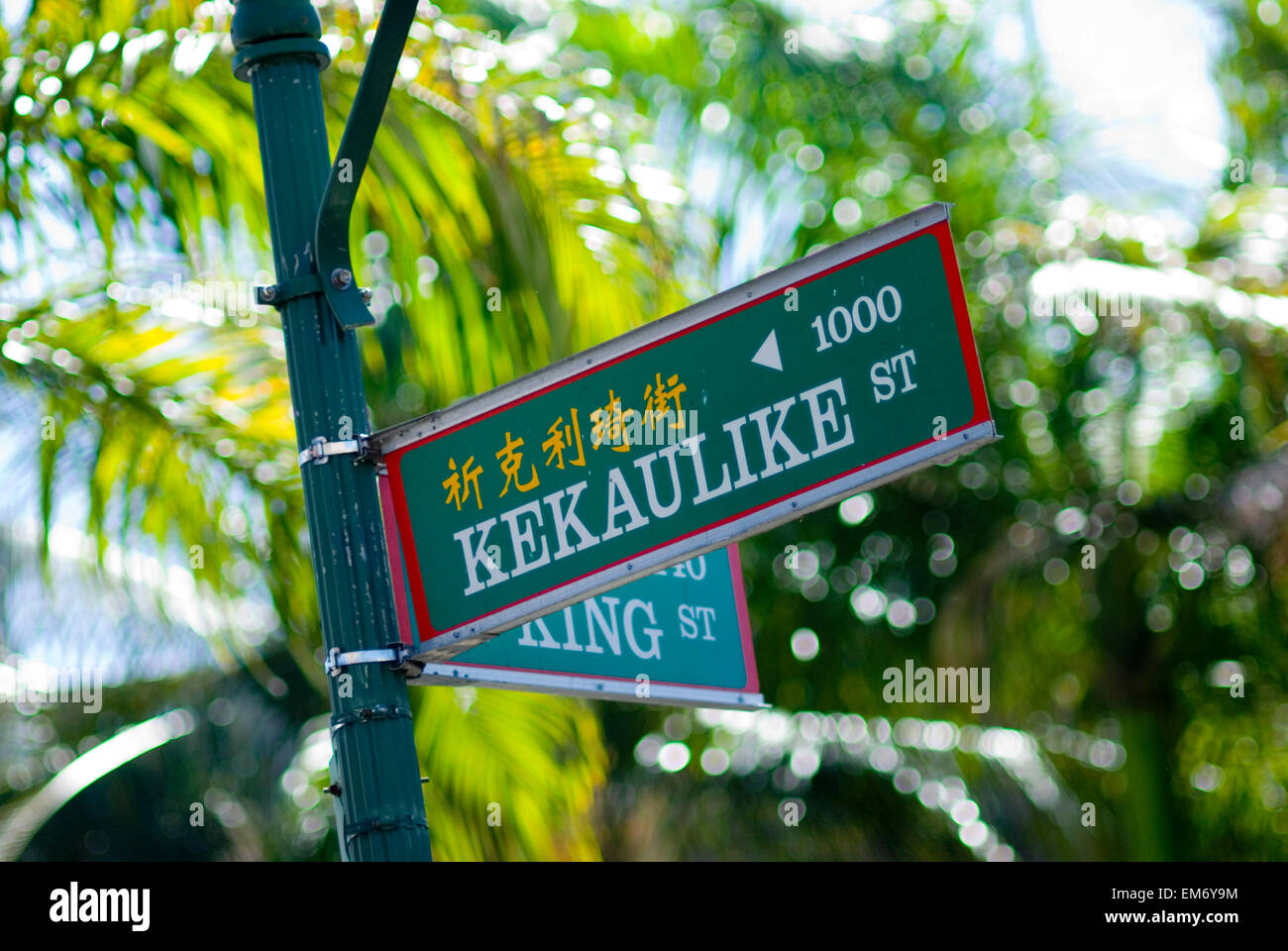 Hawaiian Street Signs
