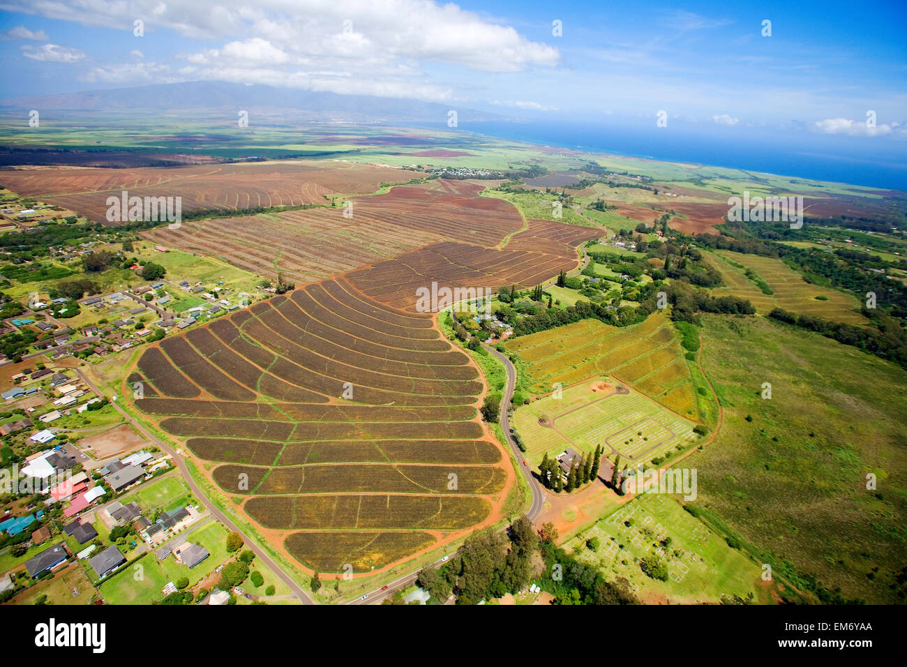 USA, Hawaii, Maui, Aerial view of pineapple fields in Lower Makawao ...