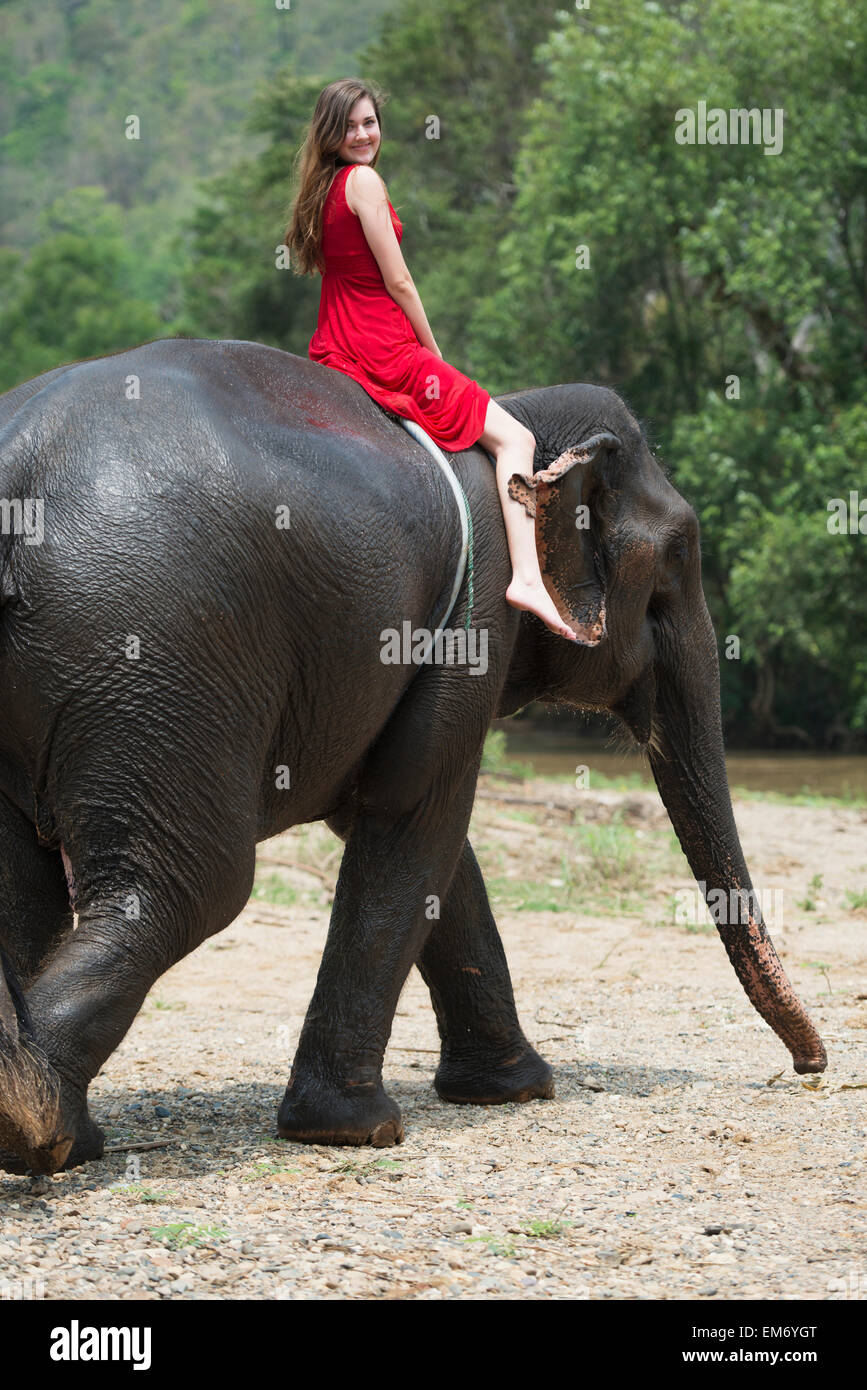 Girl riding an elephant; Chiang Mai, Thailand Stock Photo - Alamy