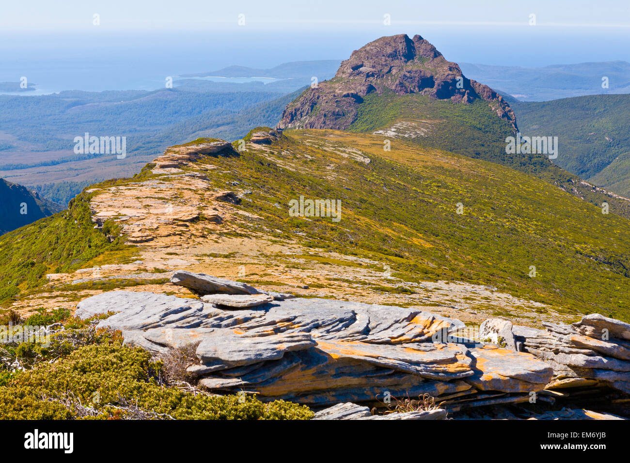 The Hippo - Southwest National Park - Tasmania - Australia Stock Photo ...