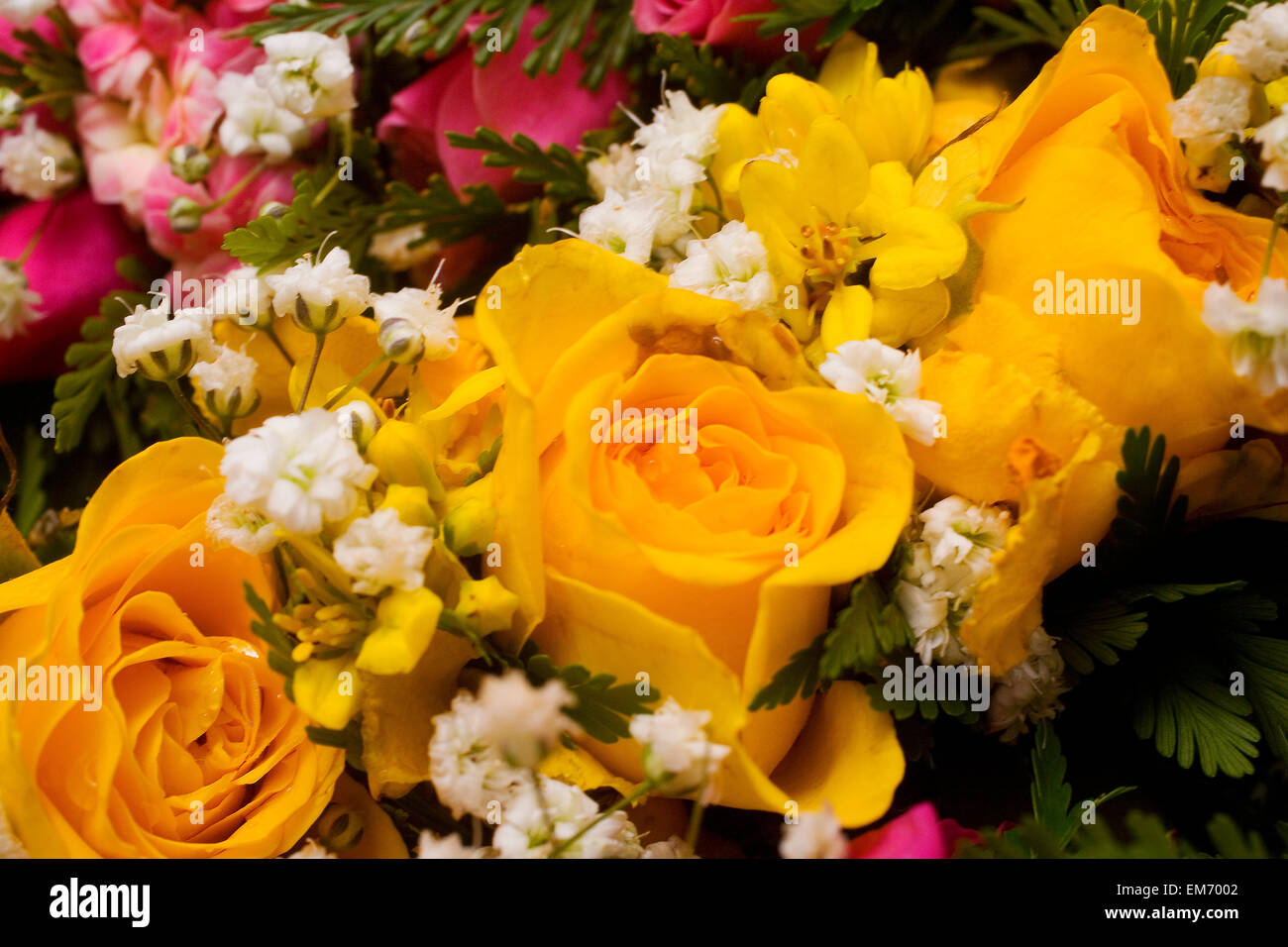 Close-Up Of Bright Yellow Roses Of A Flower Arrangement Stock Photo - Alamy