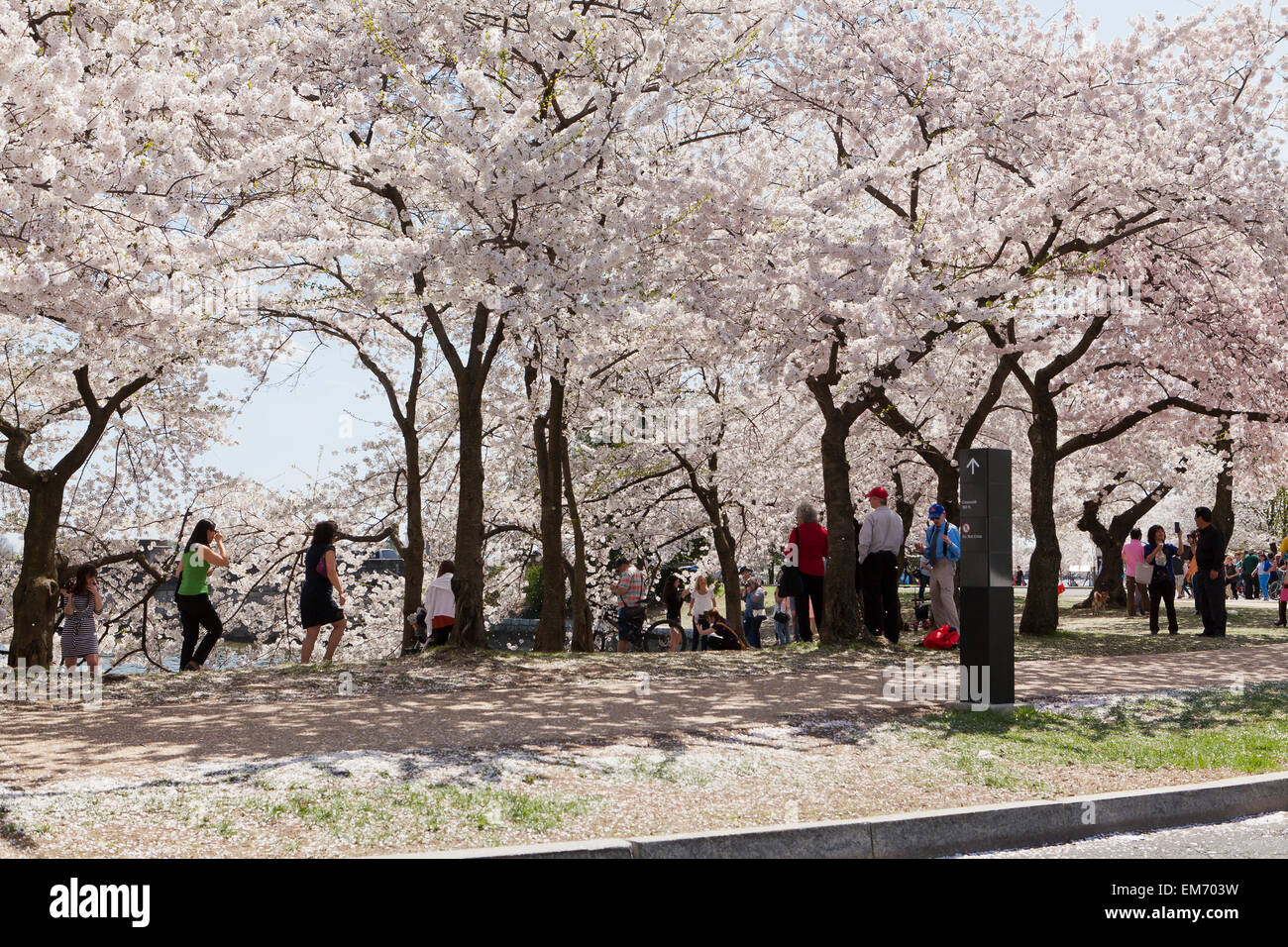Usa spring blossom hi-res stock photography and images - Alamy
