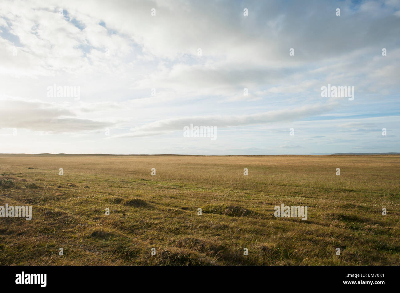 Wide open space in a field of grass; Punta Arenas, Magallanes, Chile ...