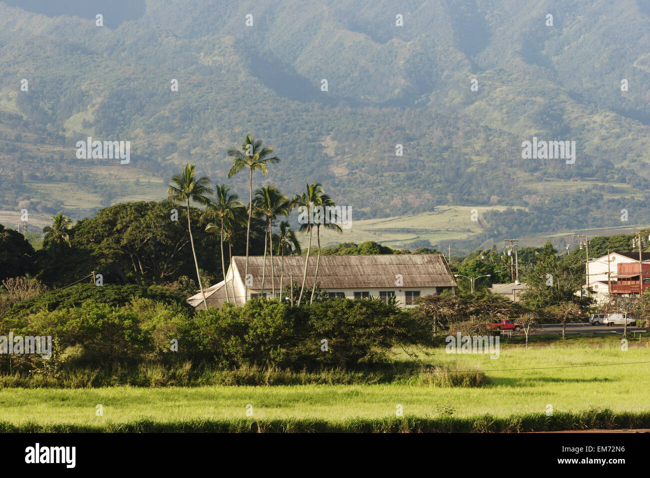 Hawaii, Oahu, North Shore, Haleiwa, Tropical Lanscape With House Stock ...