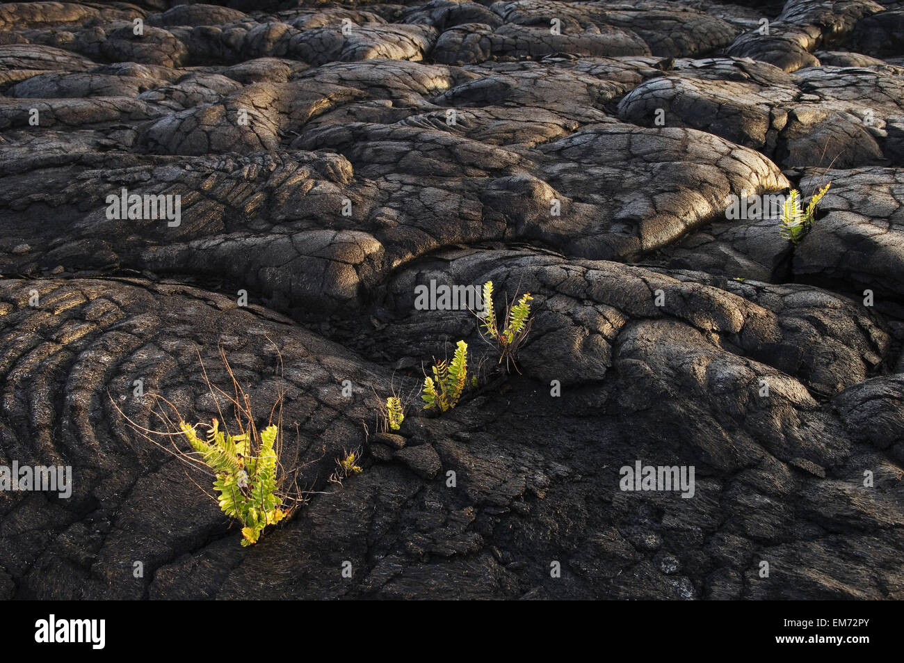 Chain of craters road in hawaii volcanoes national park hi-res stock ...