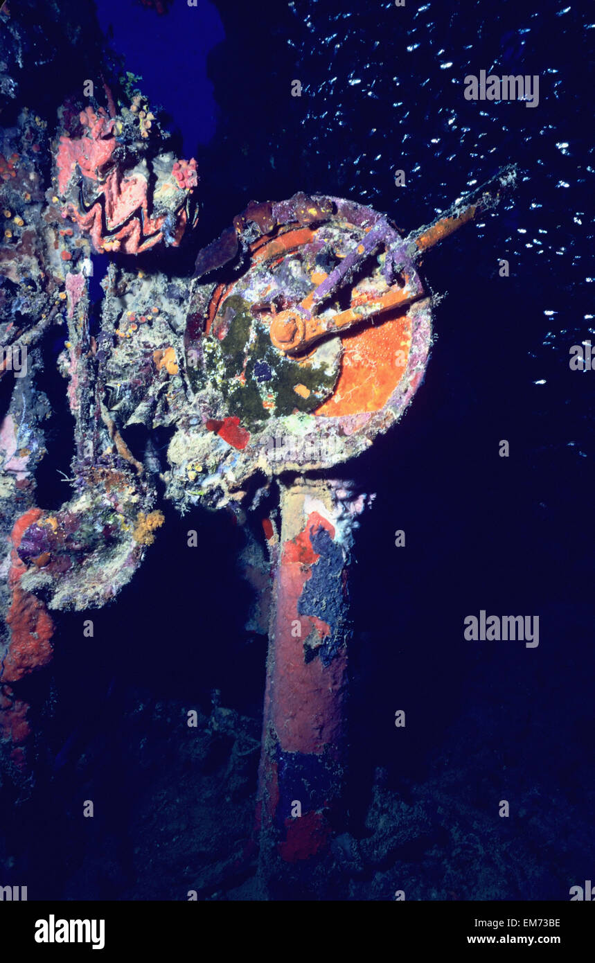 Micronesia, Colorful marine life and rusting engine telegraph; Truk ...