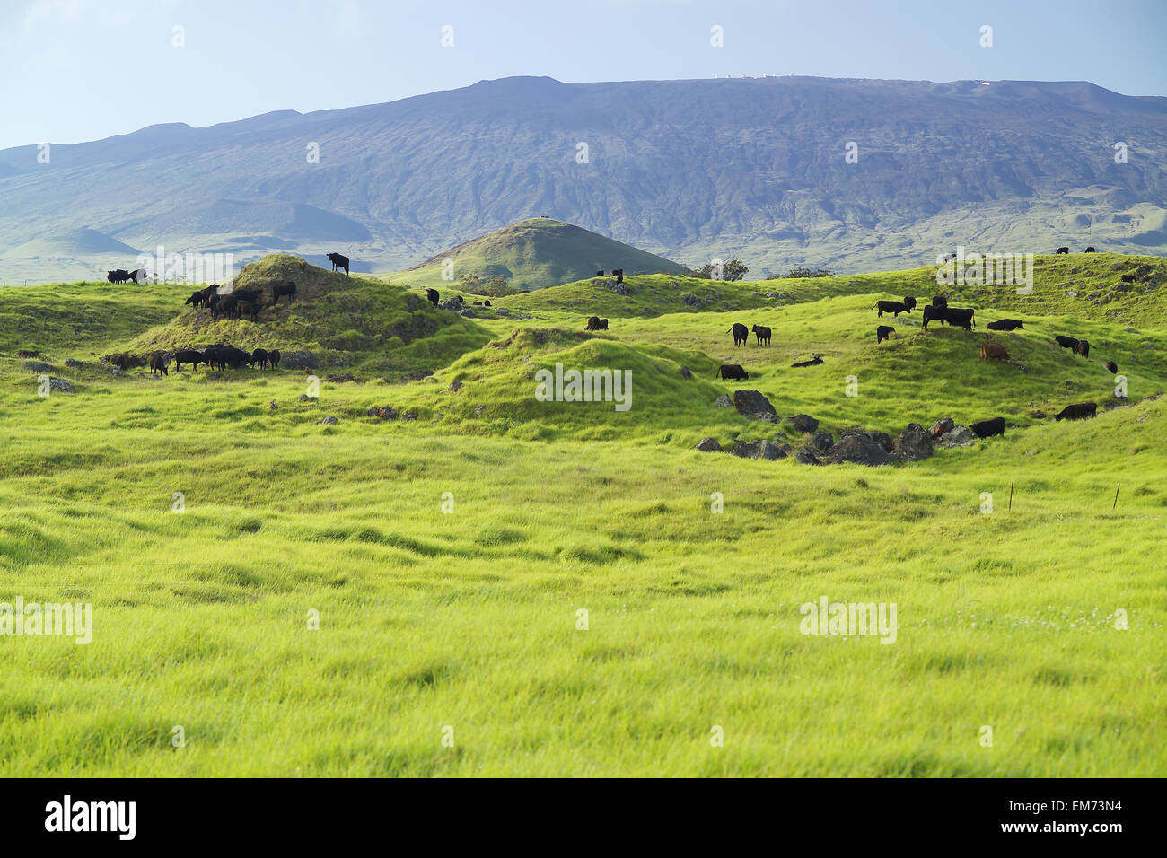 Mauna kea ranch hi-res stock photography and images - Alamy