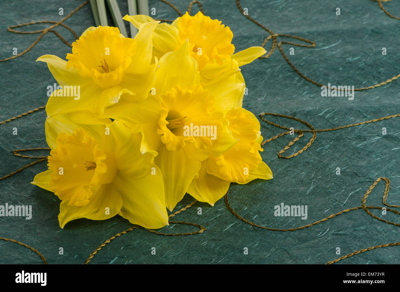 Yellow jonquil flowers on green background Stock Photo - Alamy