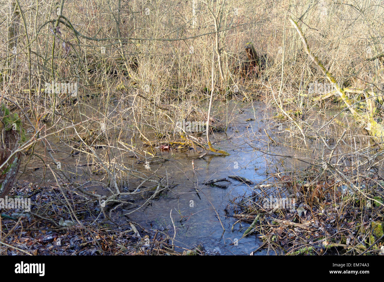 Frozen wilderness hi-res stock photography and images - Alamy