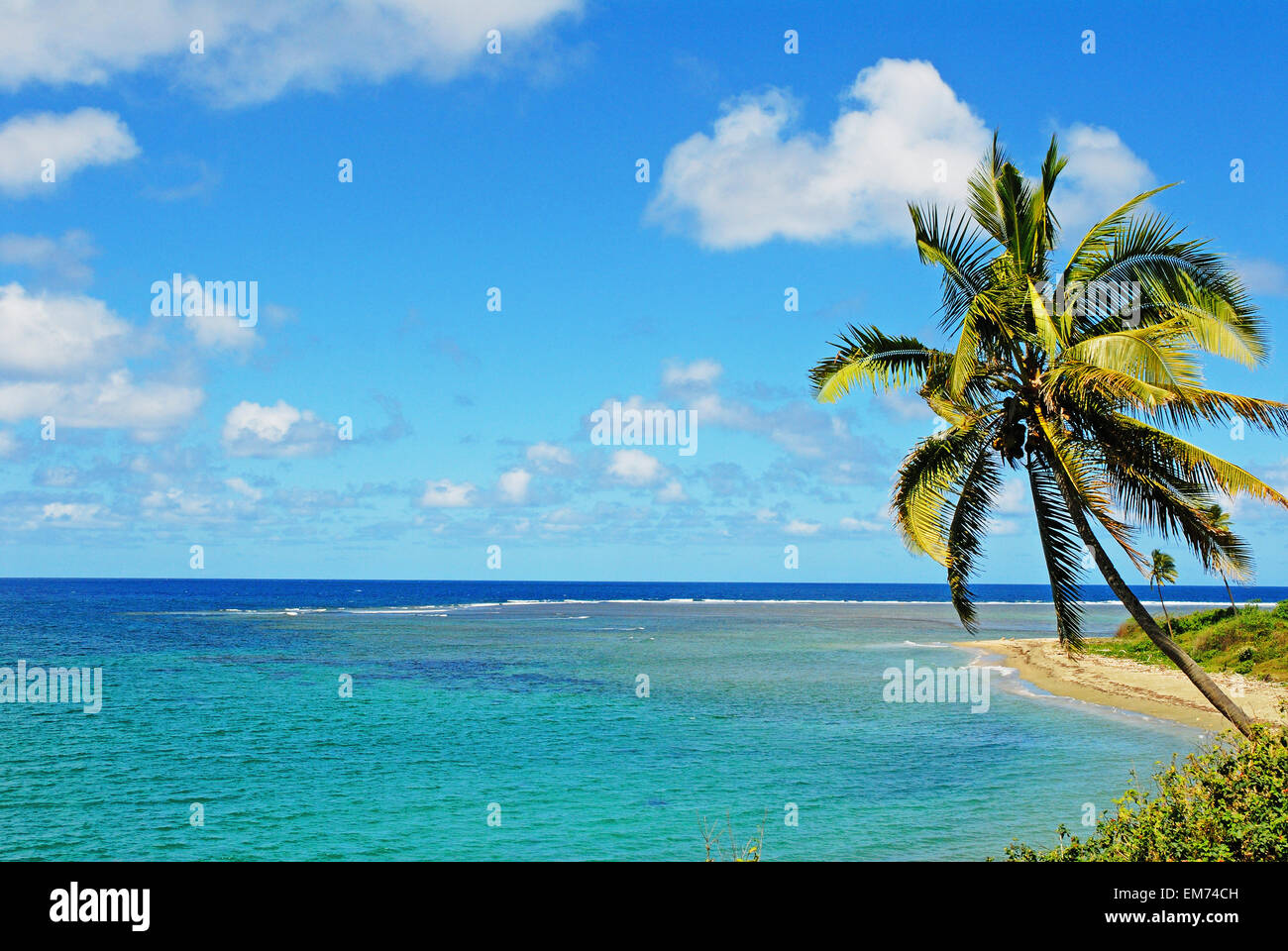 Fiji, Blue And Turquoise Ocean With Palm Tree And Sandy Beach Stock ...