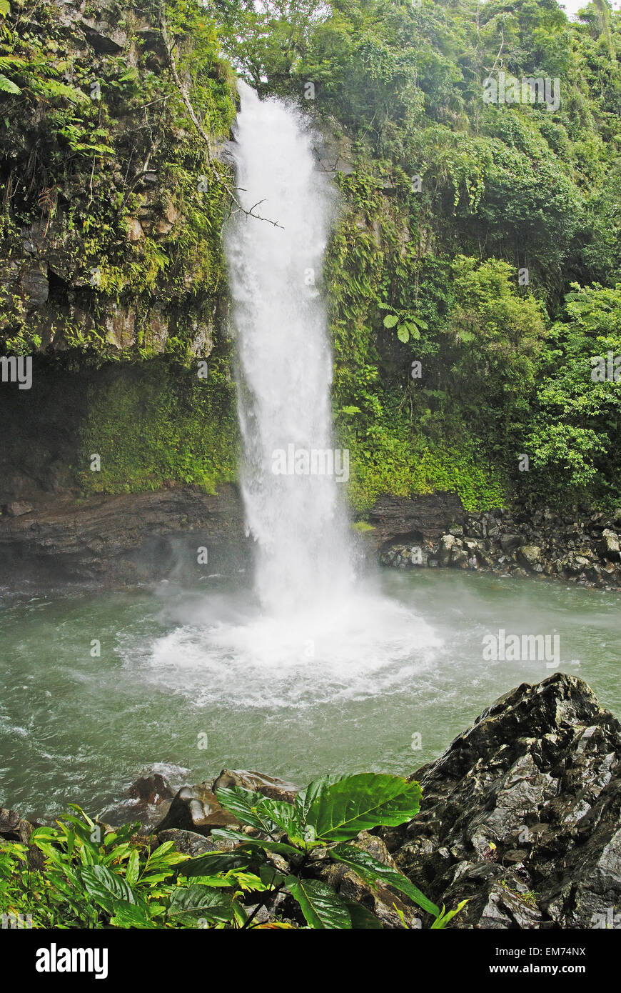Fiji, Taveuni, Tavoro Waterfall cascading into tropical pool; Bouma ...