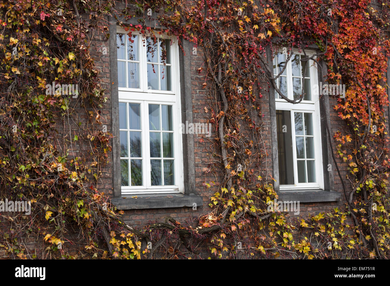 Wrap around windows hi-res stock photography and images - Alamy