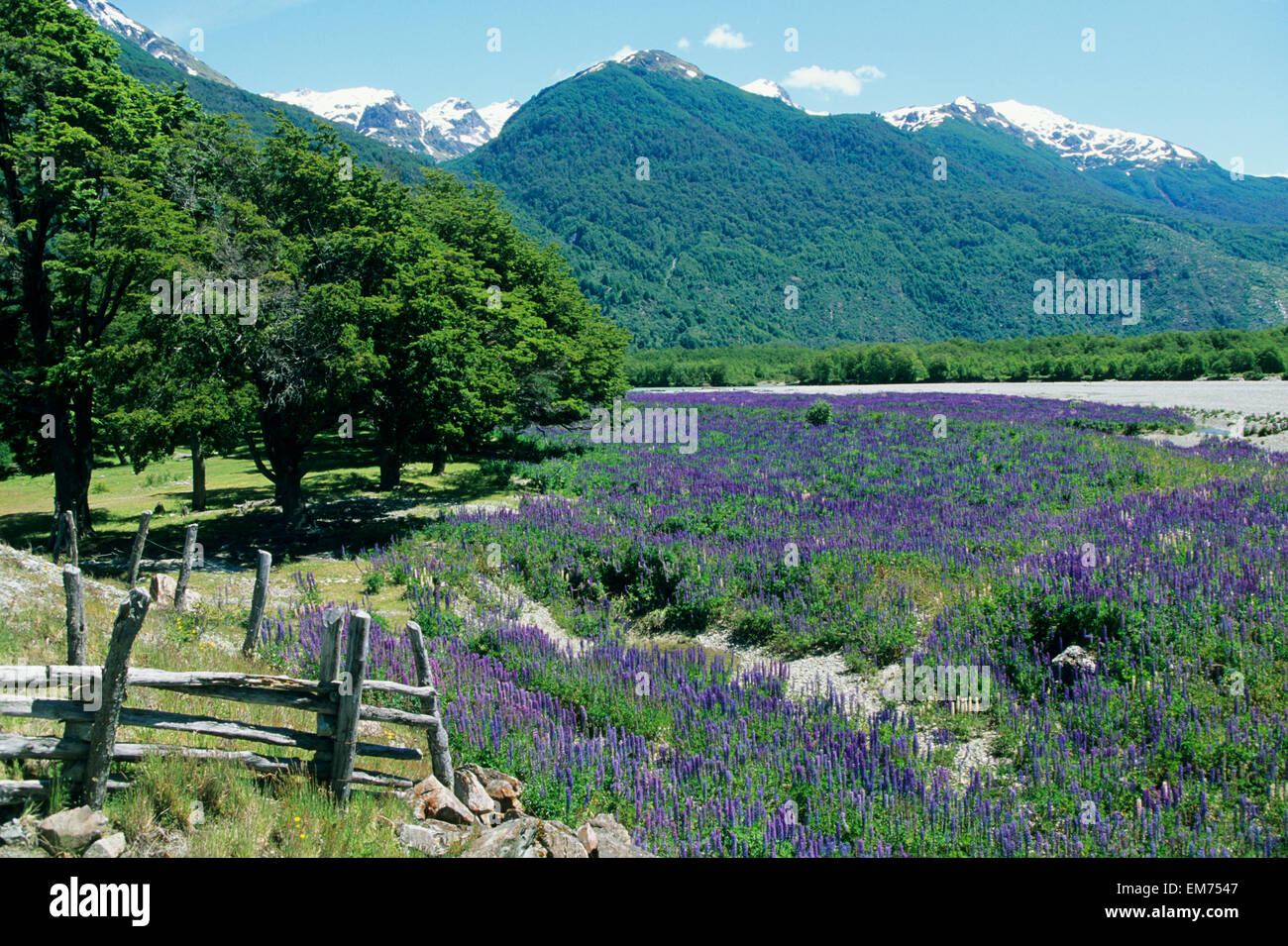 Chile, Nearby road leading to mountain foothills; Andes Mountains ...