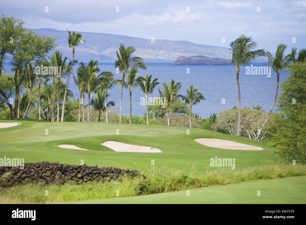 Hawaii, Maui, Wailea Gold Golf Course, Palm Trees Line The Course ...