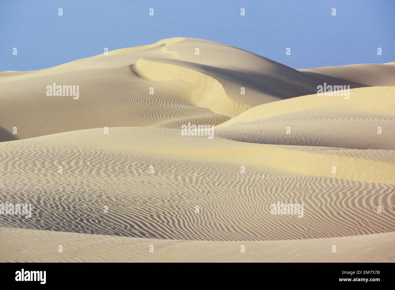 India, Rajasthan, Thar Desert, Landscape Of Dunes And Patterns In Sand ...