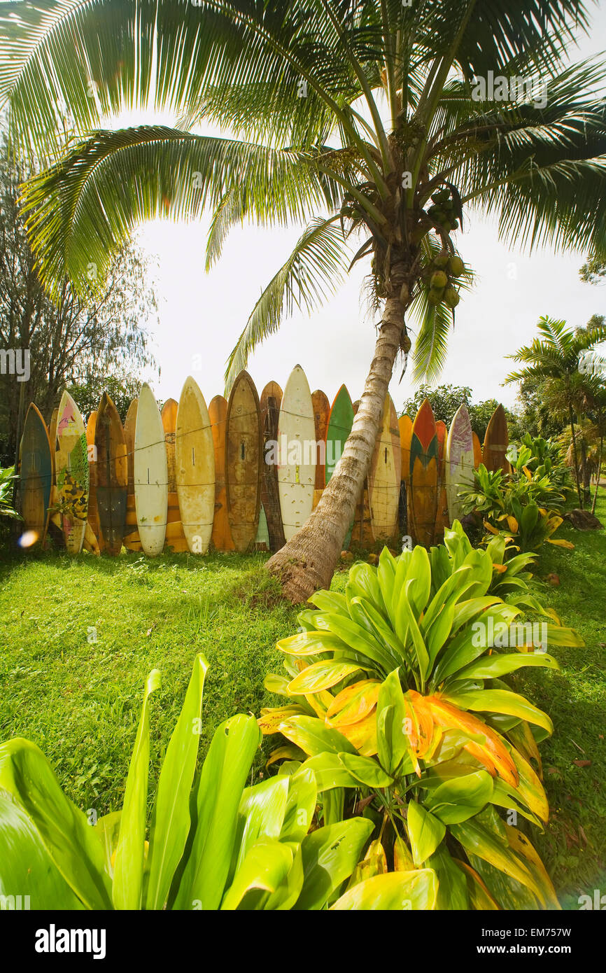 Surfboard fence in maui hi-res stock photography and images - Alamy