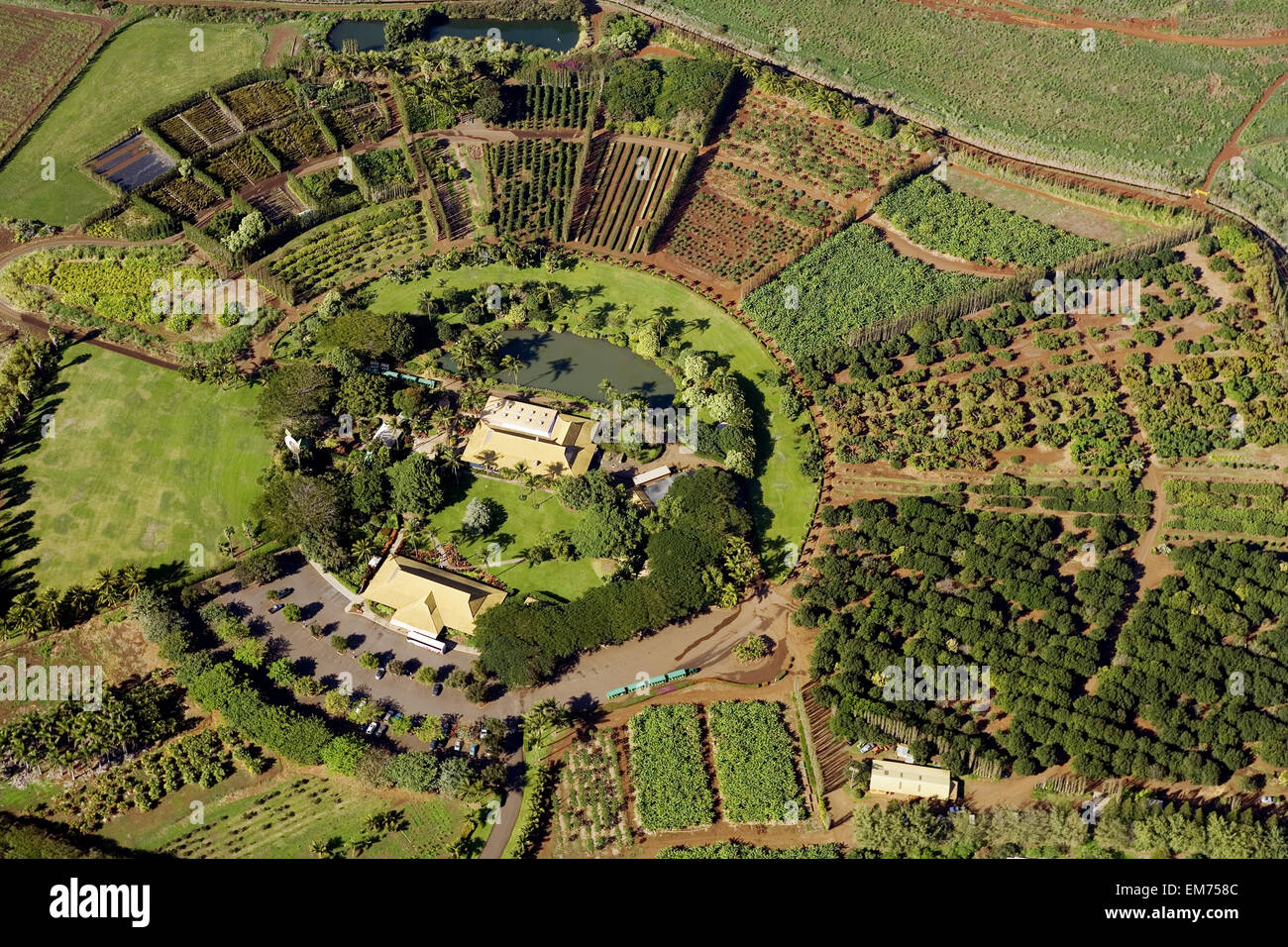 USA, Hawaii, Maui, Tropical plantation; Waikapu Stock Photo - Alamy