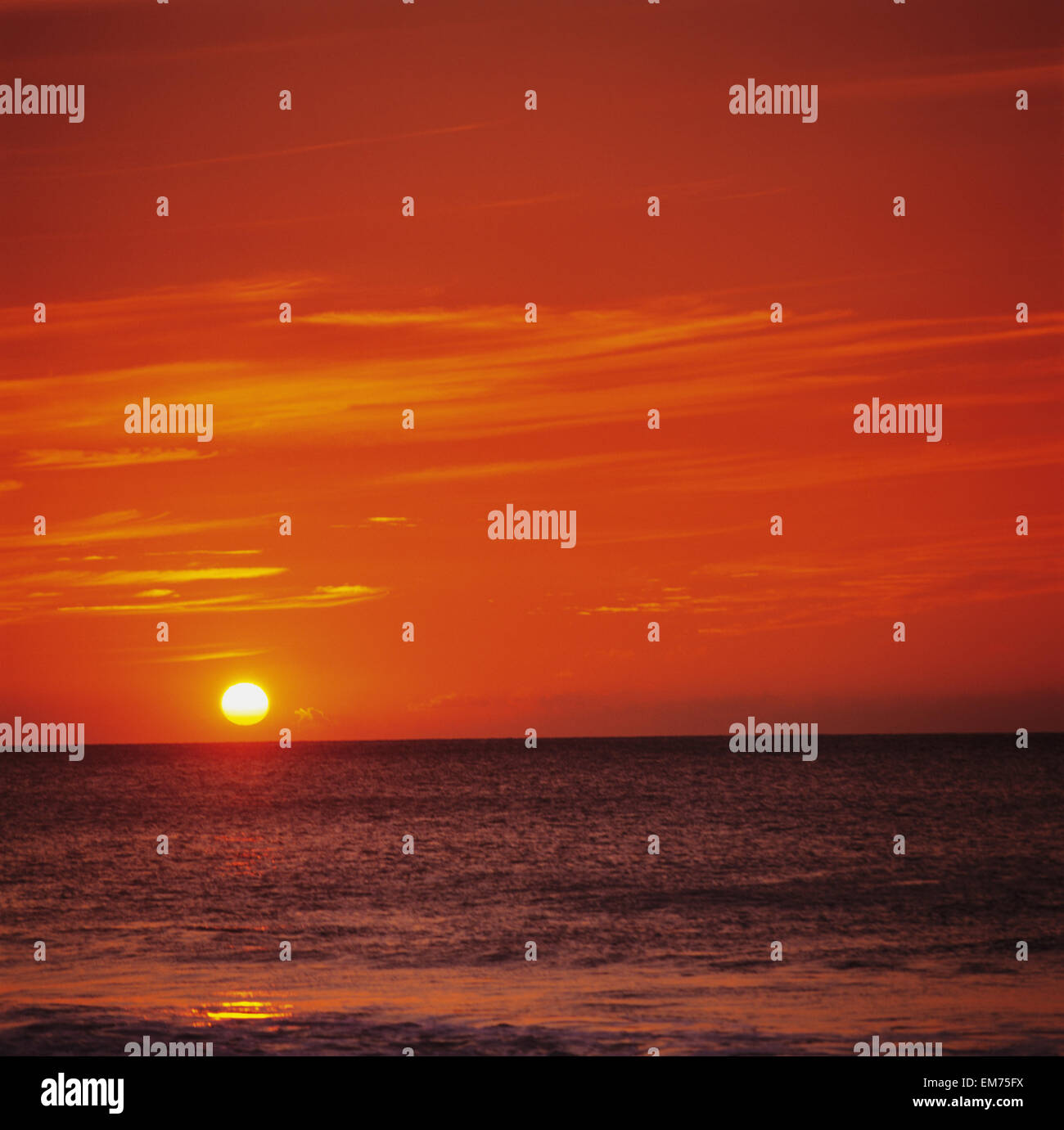 Orange Sunset Over Ocean Water, Sunball On Horizon Stock Photo - Alamy