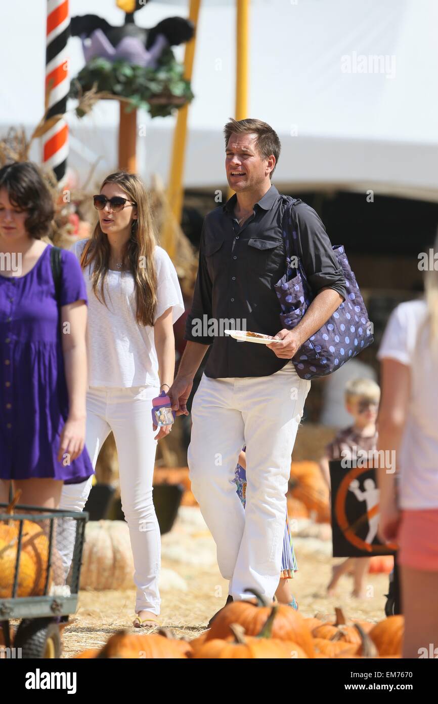 Michael Weatherly Kids